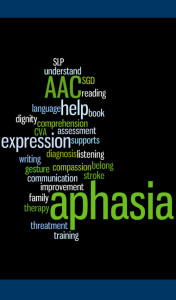 5 Questions about Aphasia & Communication Books : PrAACtical AAC
