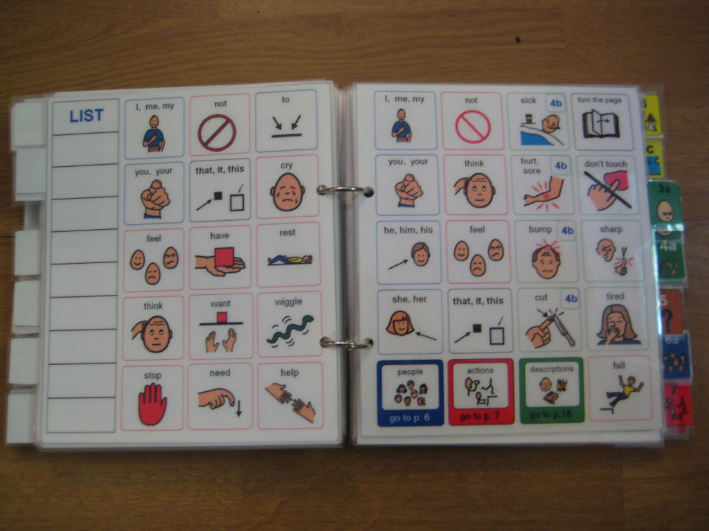 How I Do It: Using PODD books and Aided Language Displays with Young ...