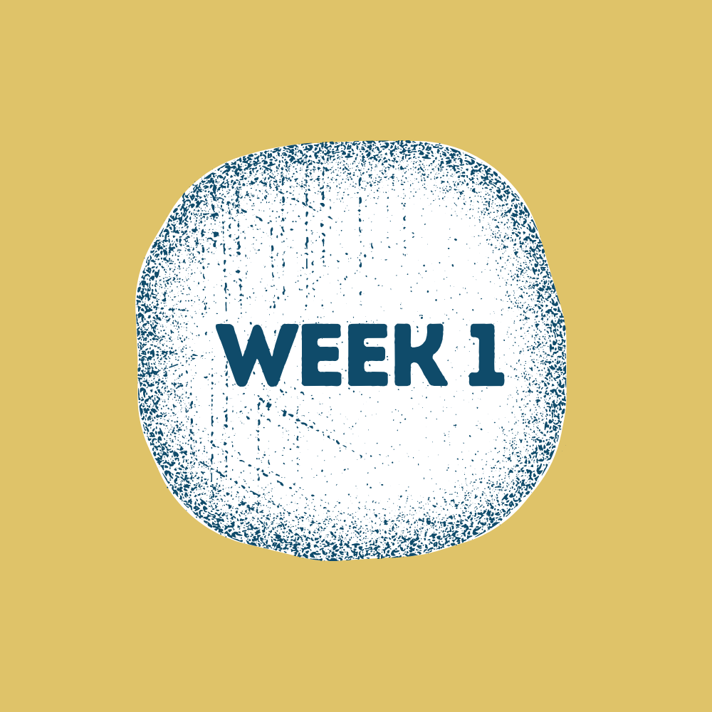 Stepping into AAC Home : PrAACtical AAC