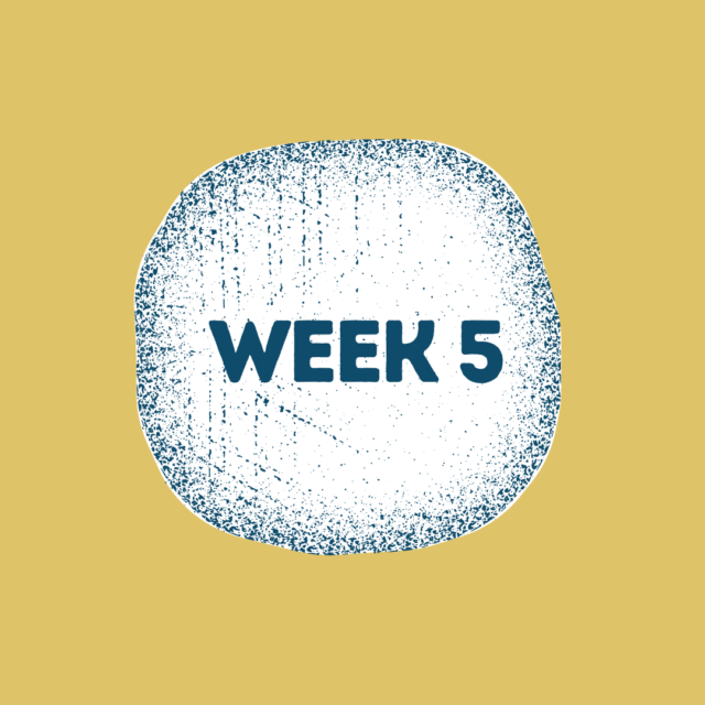 Getting Started with Stepping into AAC : PrAACtical AAC